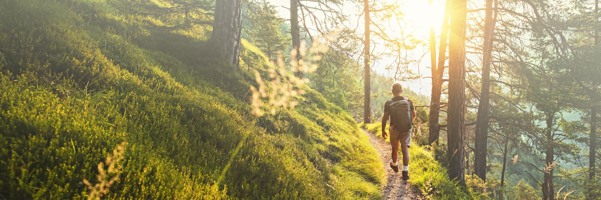 RTB - Möriken-Wildegg